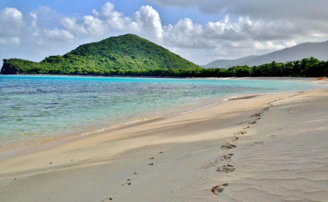 Get Involved | Green VI